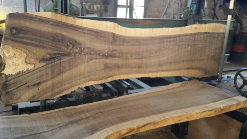 Grumes de noyer - LABARBARIE Jean-Luc